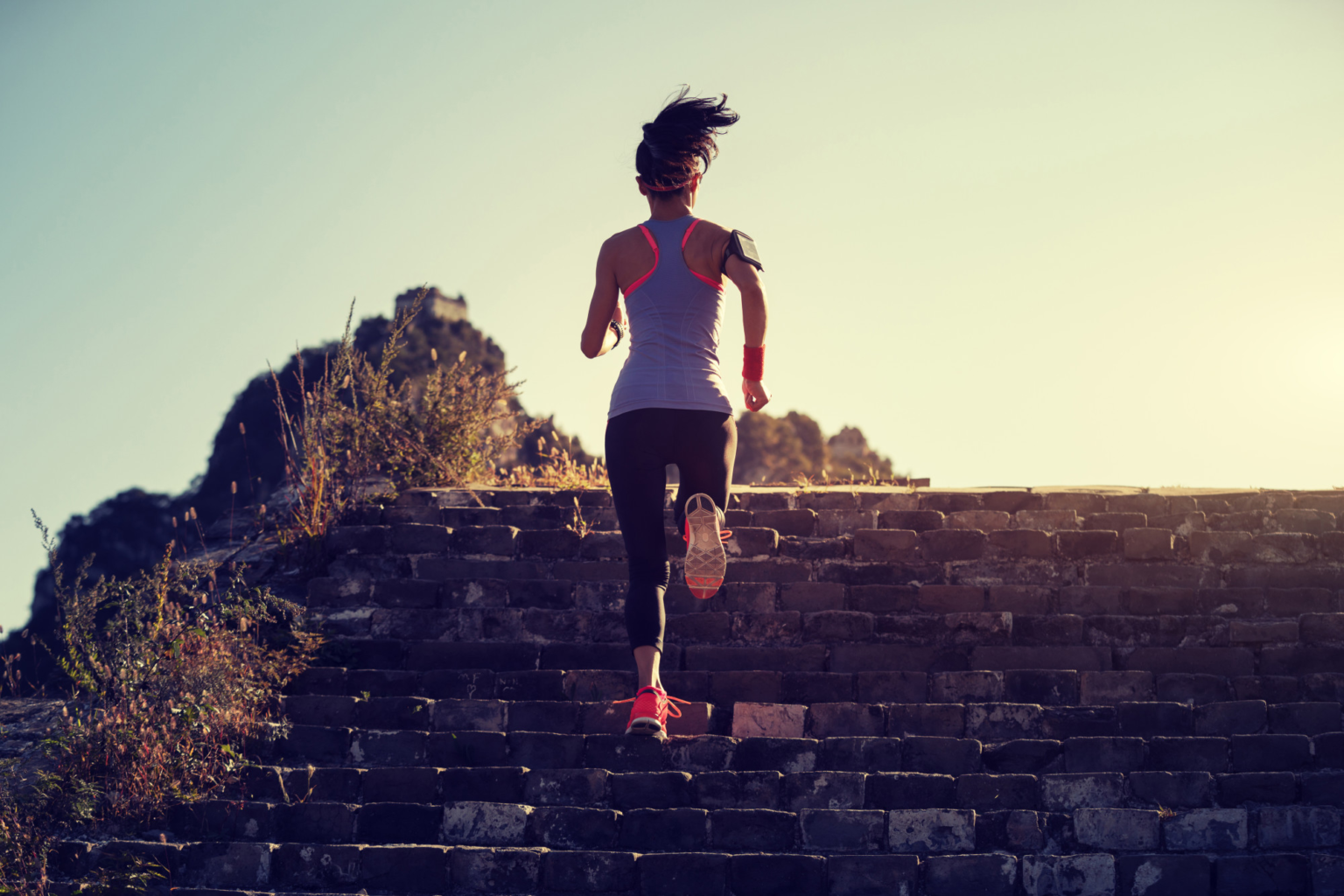 How to Start Your Fitness Journey - The Insider Tales